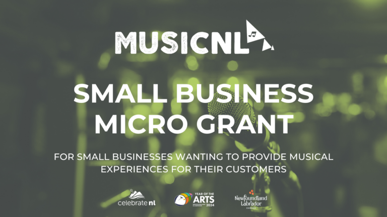 Small Business Micro Grant (FOR PROFIT) - MusicNL